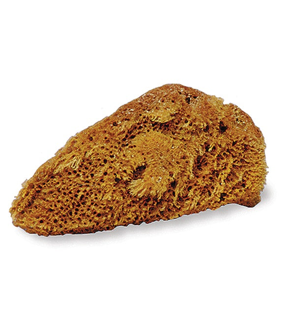 Natural Tack Sponge Small – DixonSaddlery