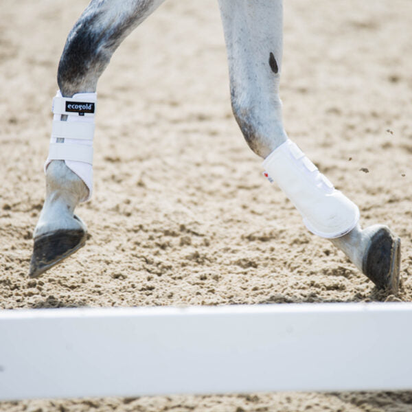 ECO GOLD- Exercise Boots – DixonSaddlery
